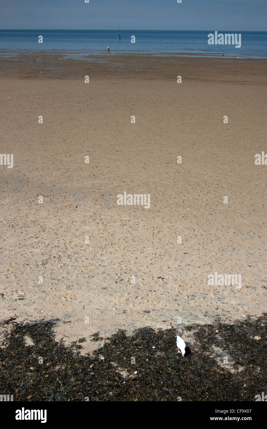 Minnis Bay Kent Stock Photo - Alamy
