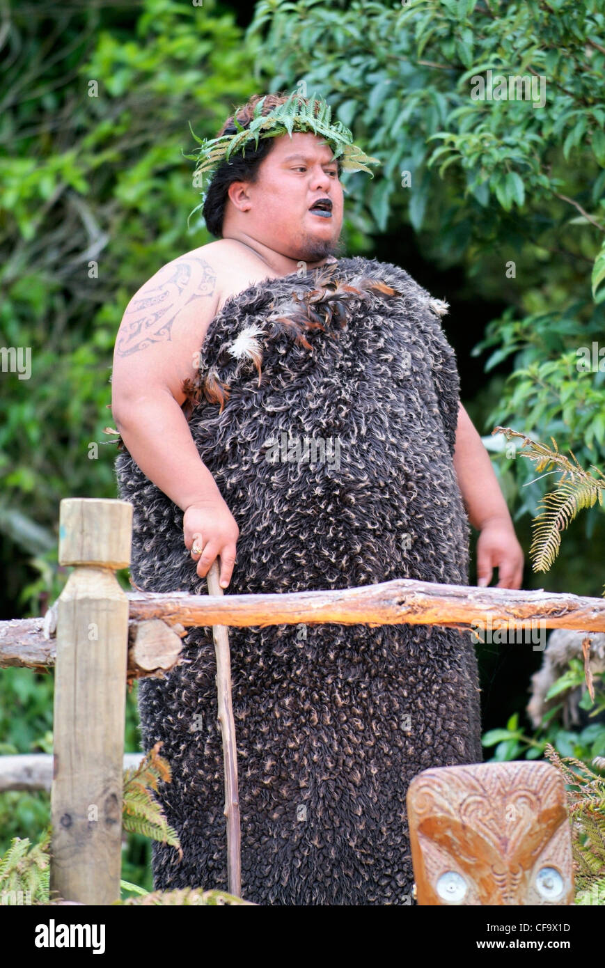 Moari hi-res stock photography and images - Alamy