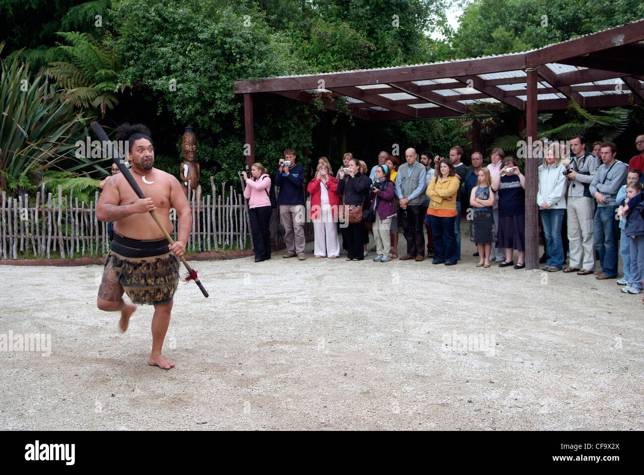 New Zealand, North Island, Rotorua, Maori Cultural Show at traditional ...