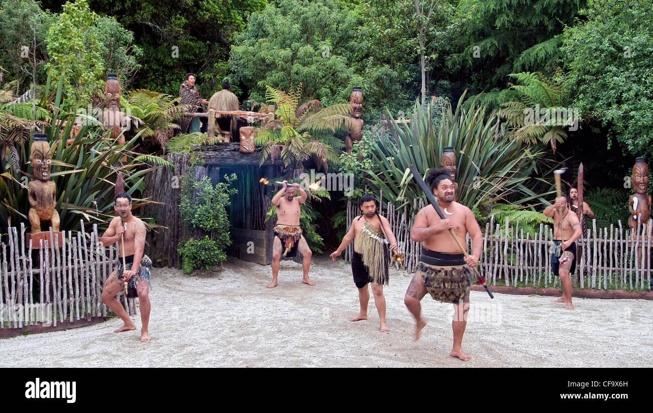 New Zealand, North Island, Rotorua, Maori Cultural Show at traditional ...
