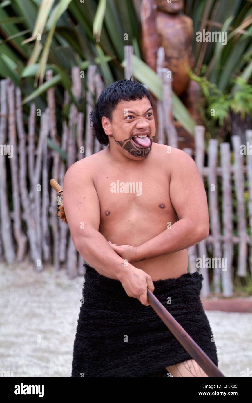 New Zealand, North Island, Rotorua, Maori Cultural Show at traditional ...