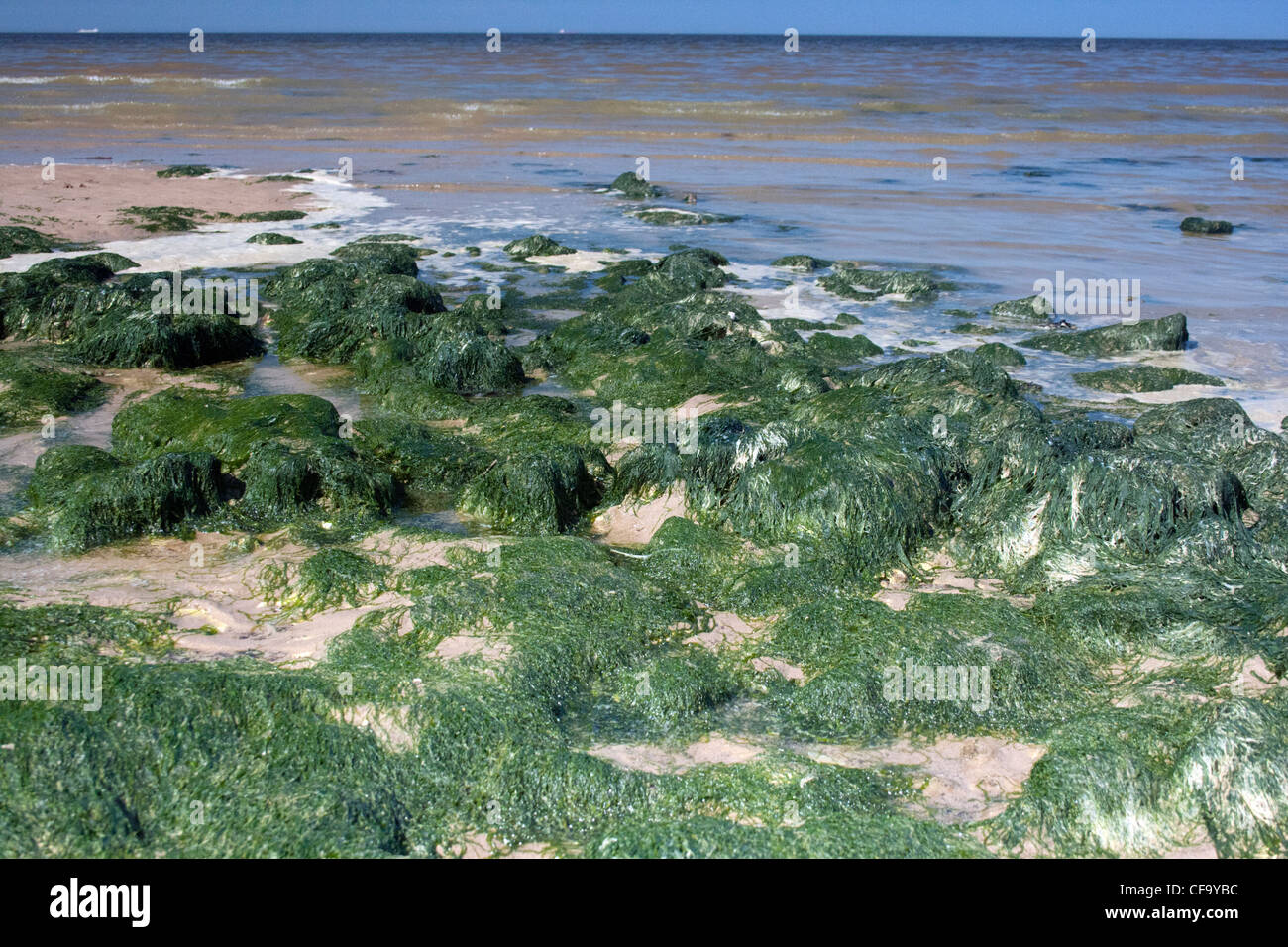 Minnis bay birchington hi-res stock photography and images - Alamy