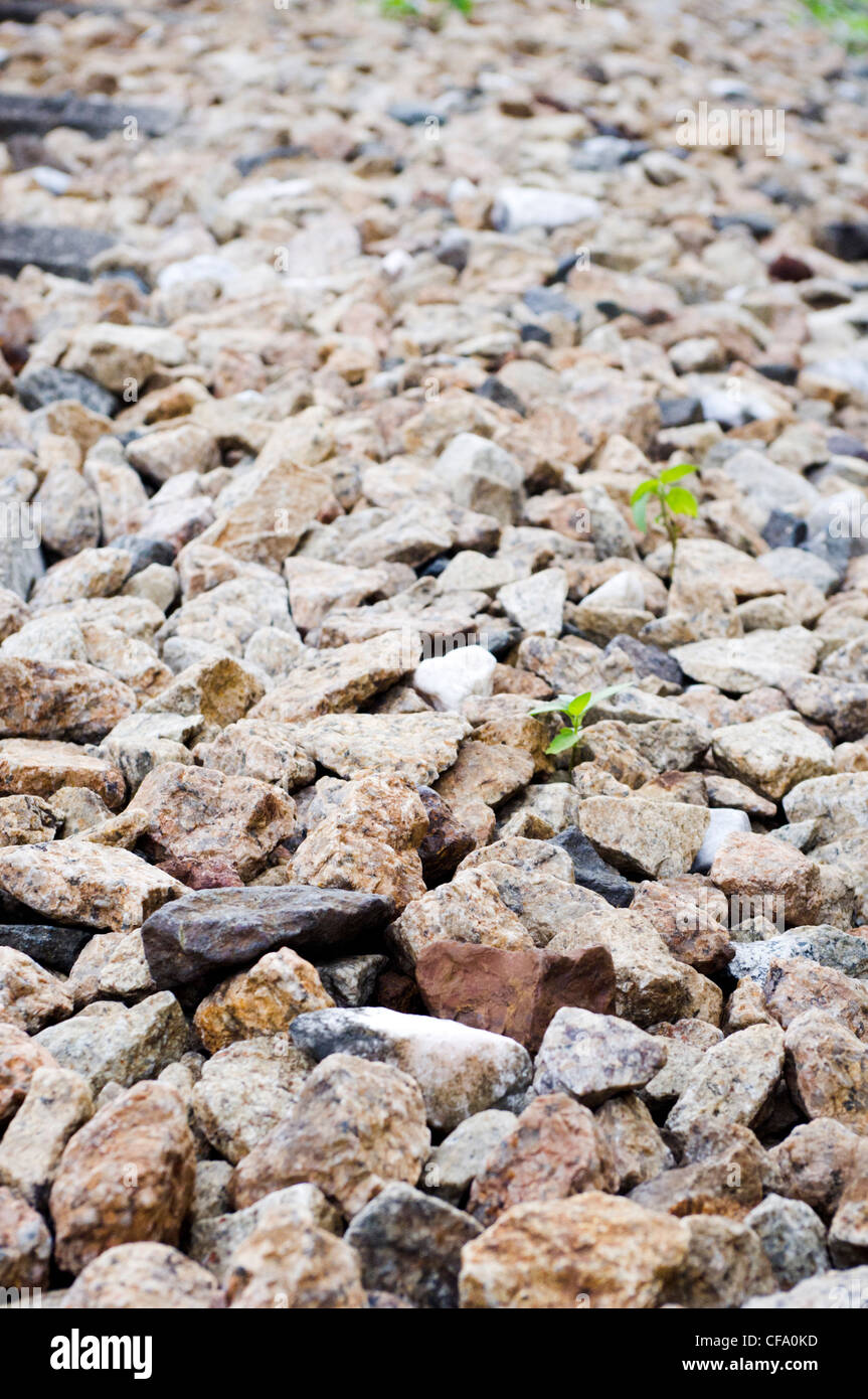 Railroad Gravel Textures