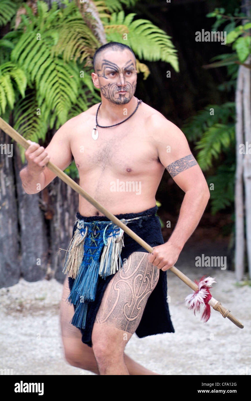 New Zealand, North Island, Rotorua, Maori Cultural Show at traditional ...
