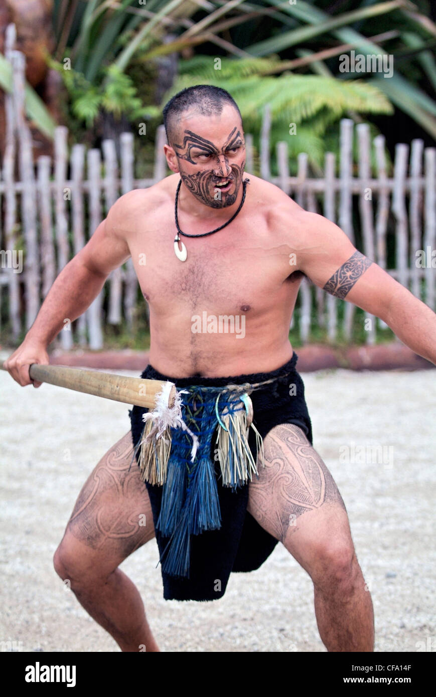 New Zealand, North Island, Rotorua, Maori Cultural Show at traditional ...