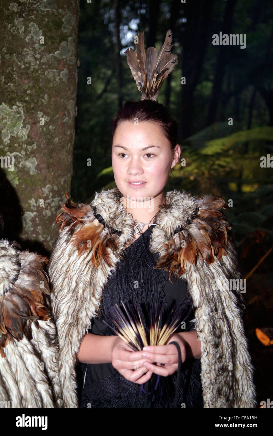 New Zealand, North Island, Rotorua, Maori Cultural Show at traditional ...