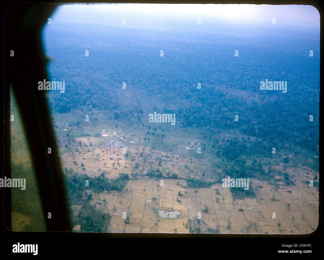 Rice paddes seen in aerial photo Vietnam War Stock Photo - Alamy