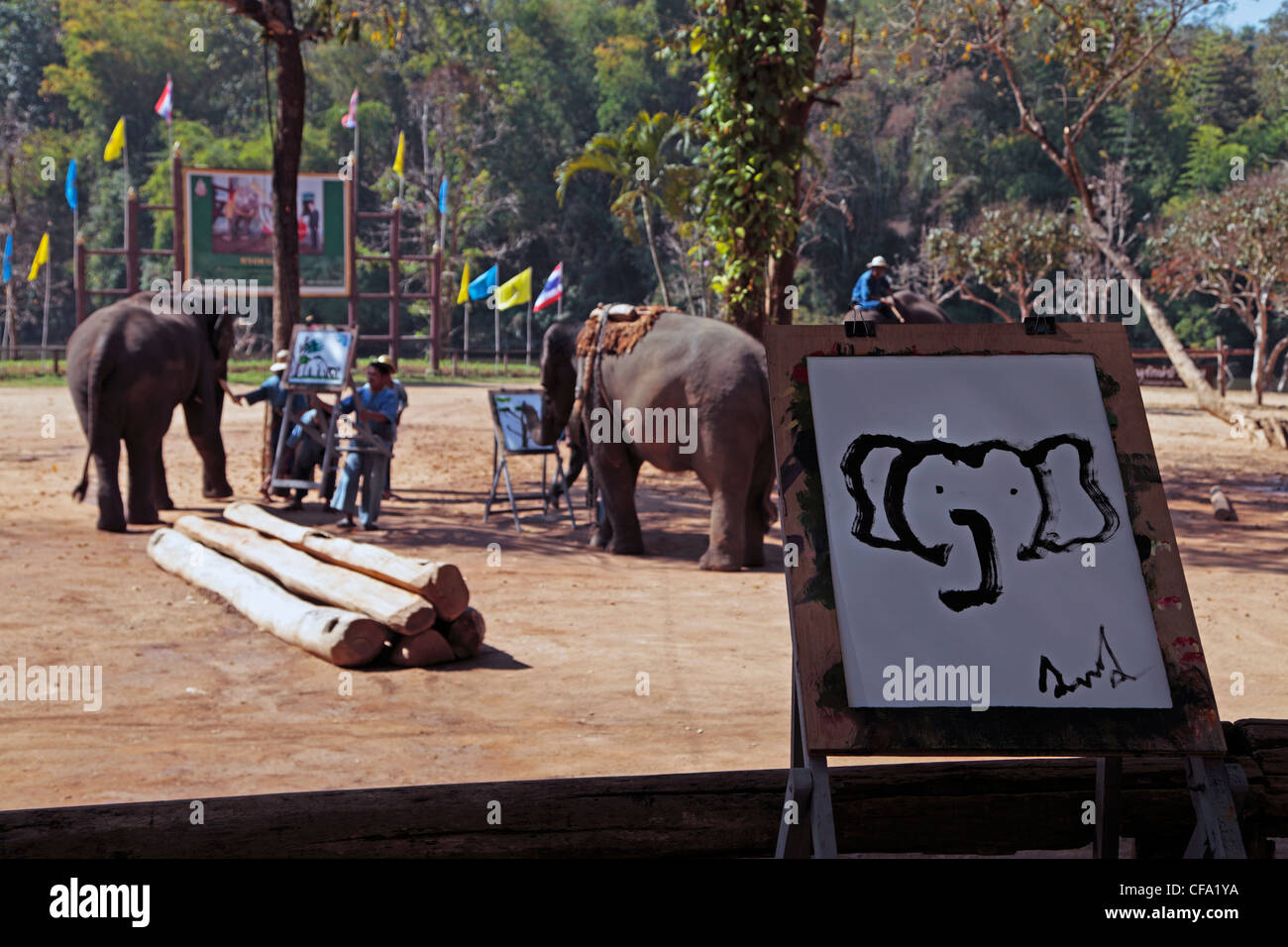 Elephant training school lampang thailand hi-res stock photography and ...