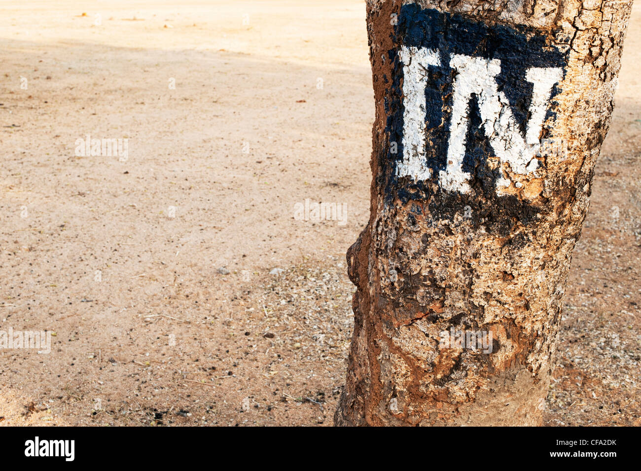 Word tree in indian hi-res stock photography and images - Alamy