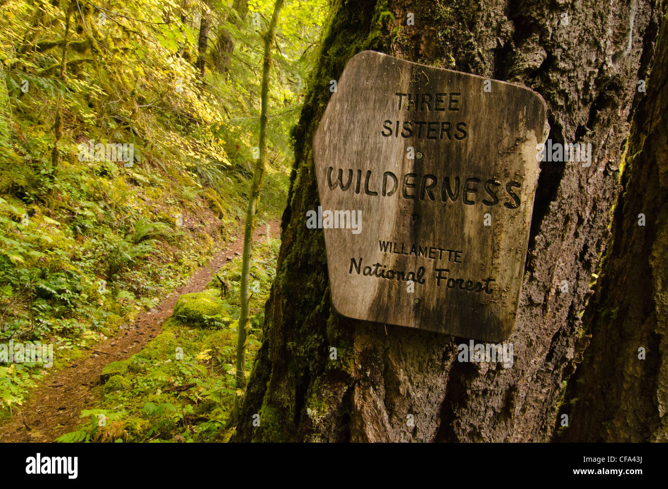 Three sisters wilderness hi-res stock photography and images - Alamy