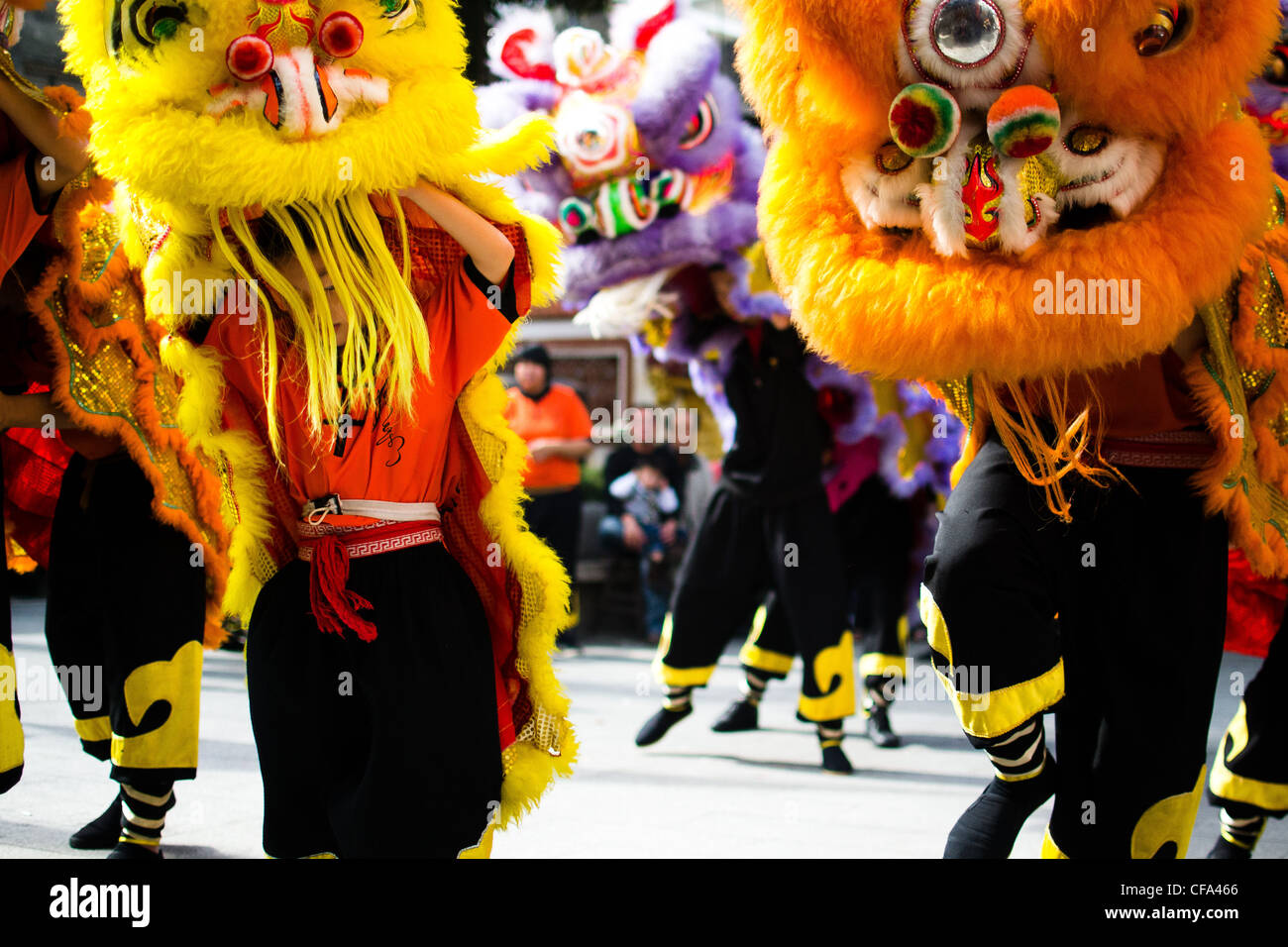 Traditional Lion dance in front of a temple during chinese cultural ...