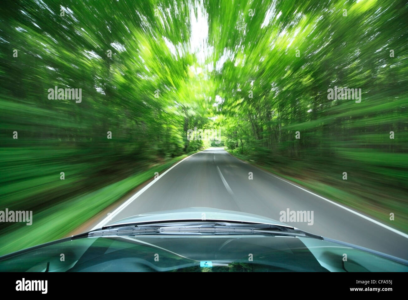 car driving fast into forest Stock Photo - Alamy