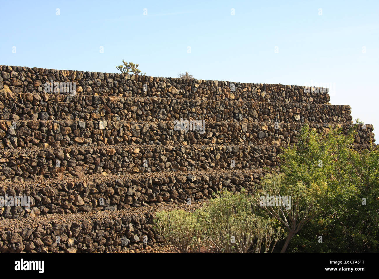 Tenerife, Canary islands, Spain, Europe, travel, tourism, holidays ...