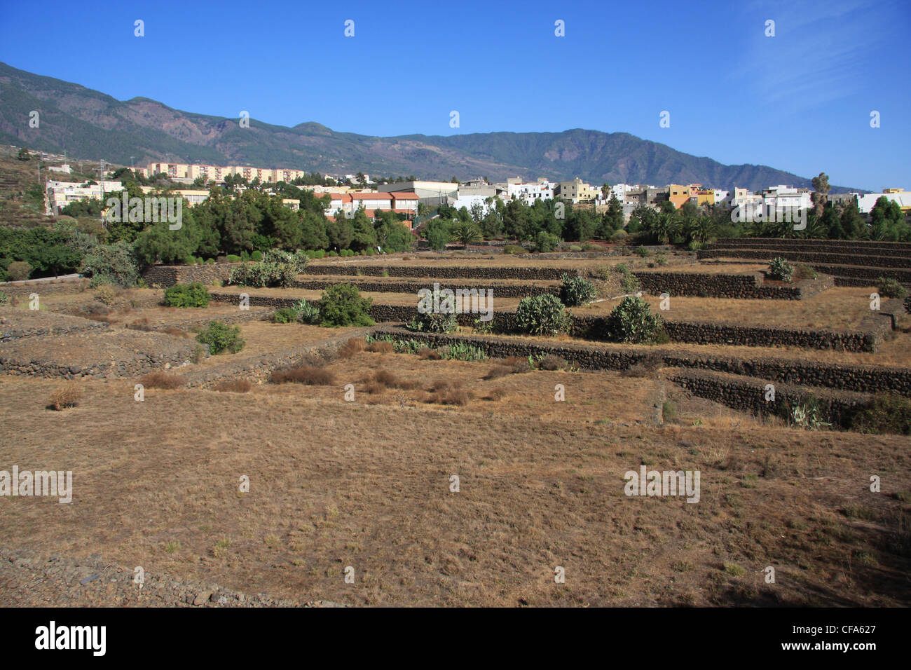 Tenerife, Canary islands, Spain, Europe, travel, tourism, holidays ...