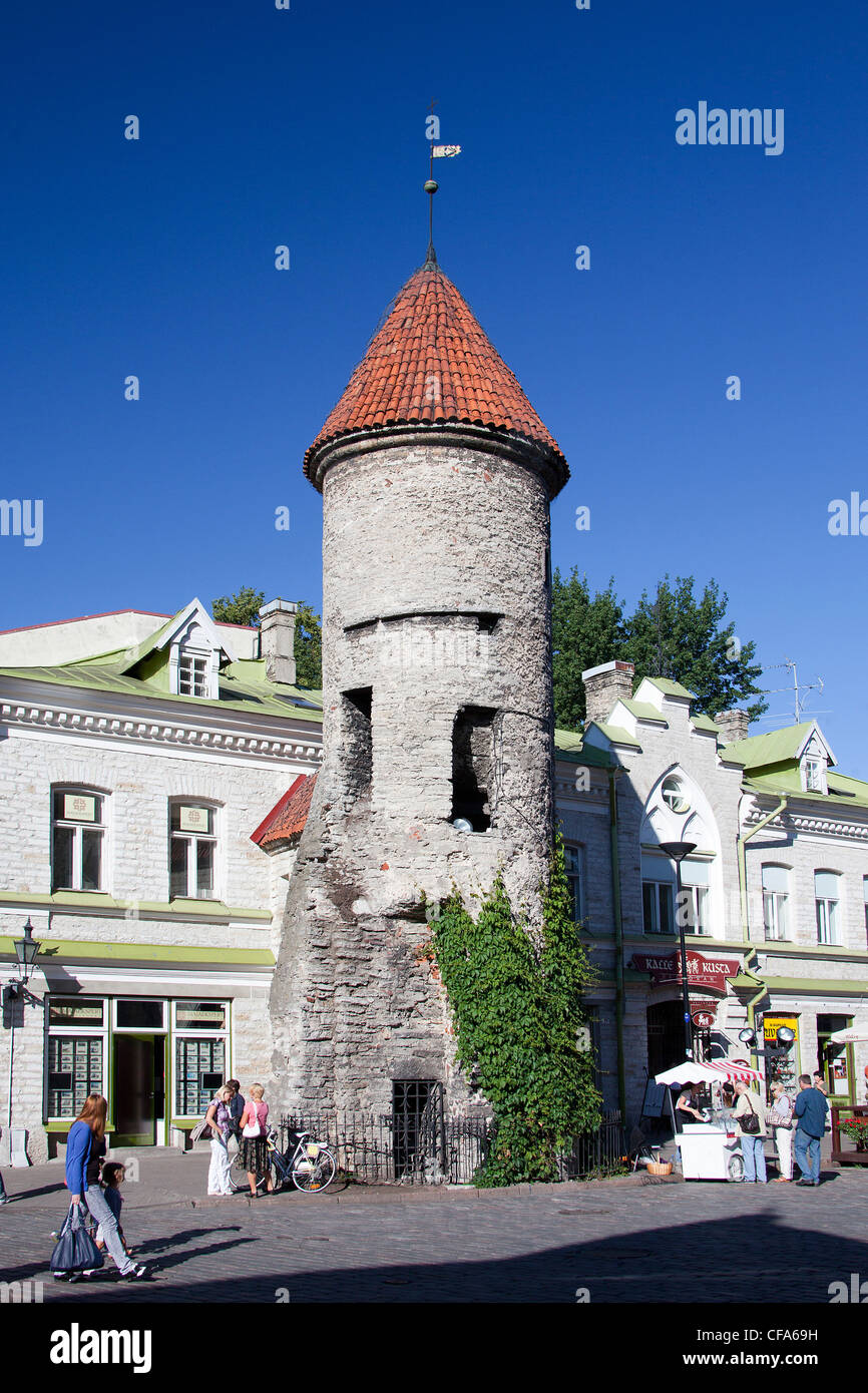Estonia, Tallin, Tallinn, City, Old Town, tower, walls, Viru, Gate ...