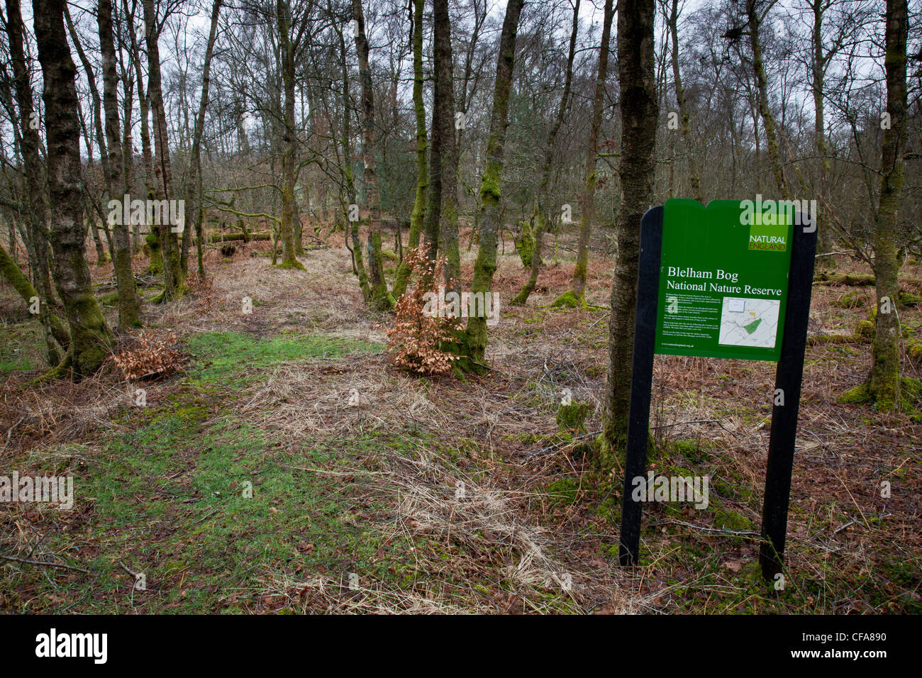 Path in open access land to Blelham Bog Nature Reserve near Blelham ...