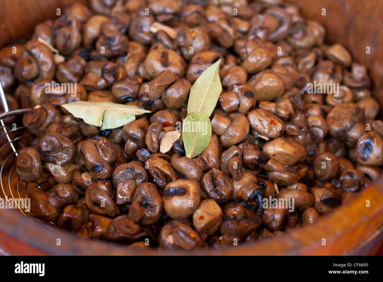 Pickled champignons with spices in bucket Stock Photo - Alamy