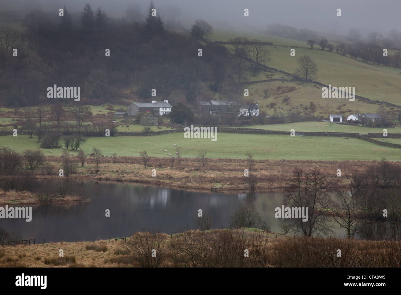 Long Houses reflected in Kentmere Tarn, Kentmere Valley, Lake Disrtict ...