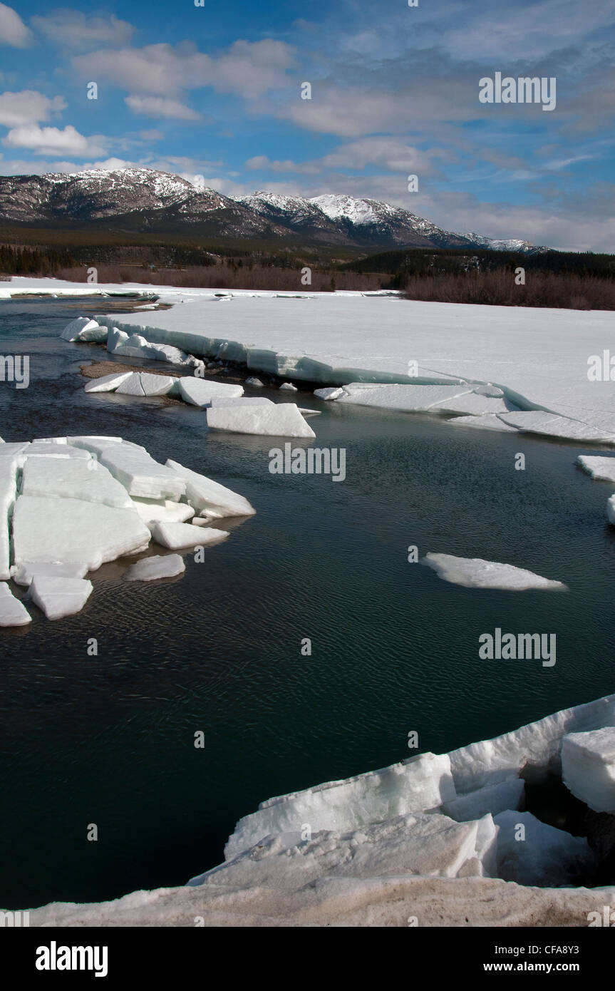 Yukon, Canada, river, spring, breakup, ice, Whitehorse Stock Photo - Alamy