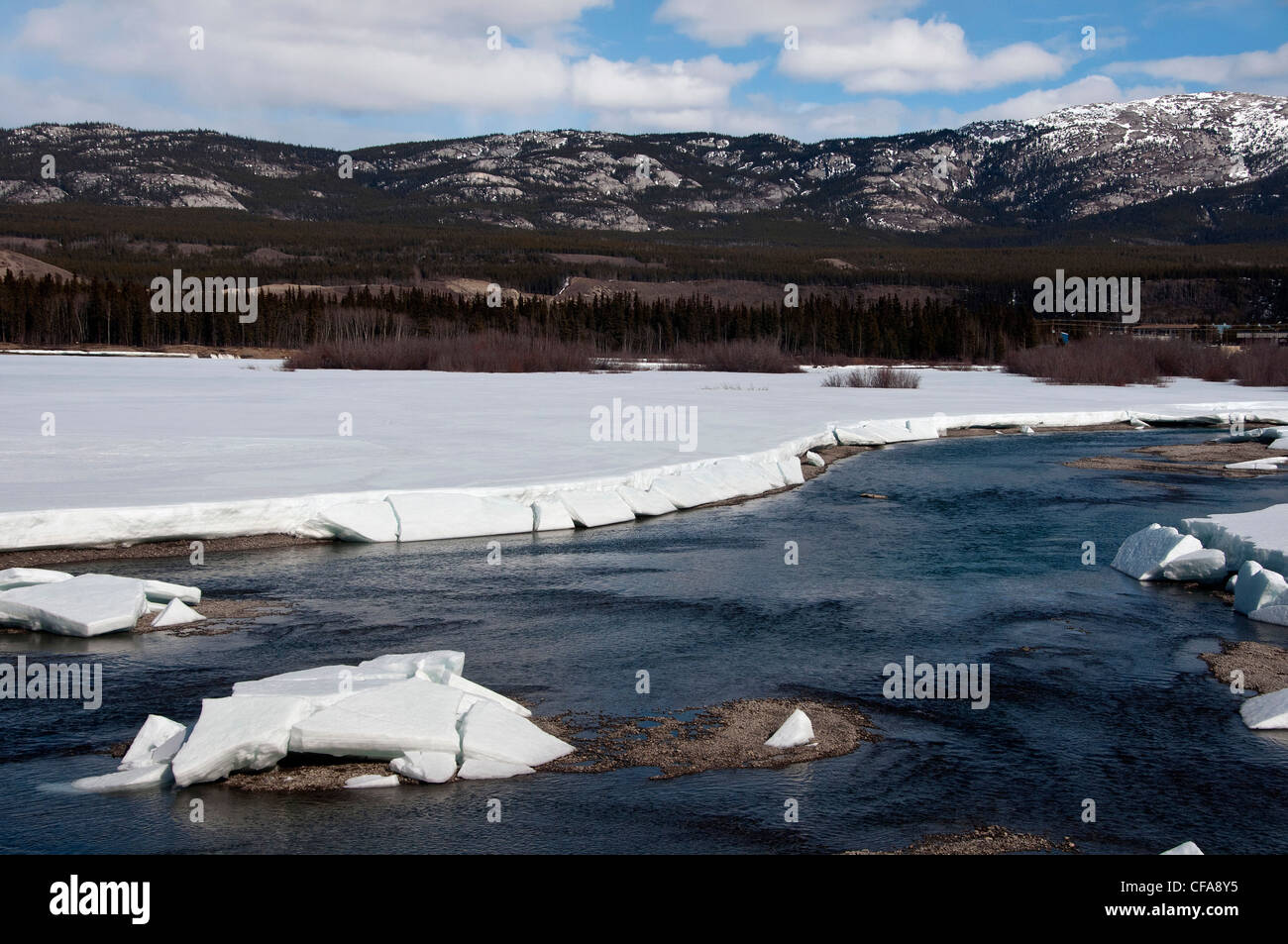 Yukon river spring hi-res stock photography and images - Alamy