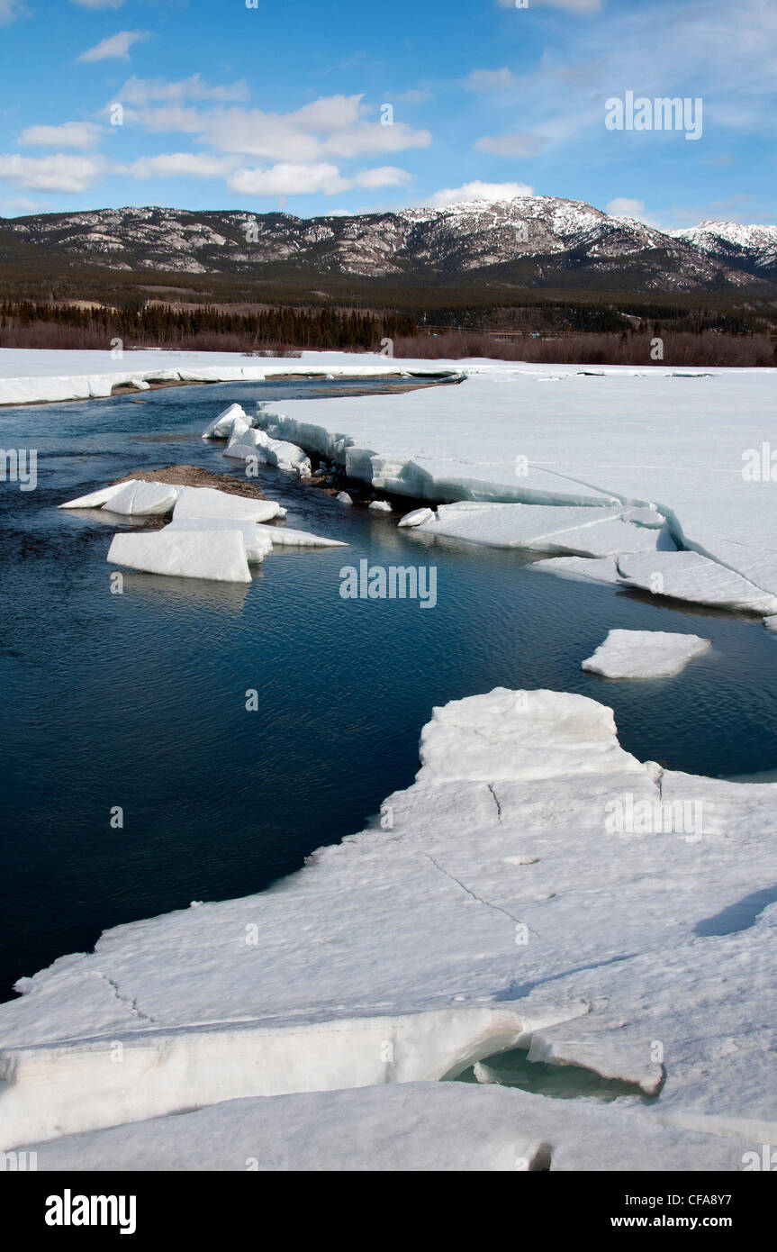 Yukon, Canada, river, spring, breakup, ice, Whitehorse Stock Photo - Alamy
