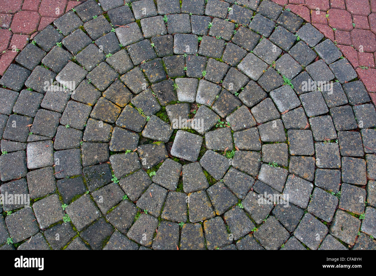 cobblestone, formation, road, pattern, circle, round, concepts Stock ...