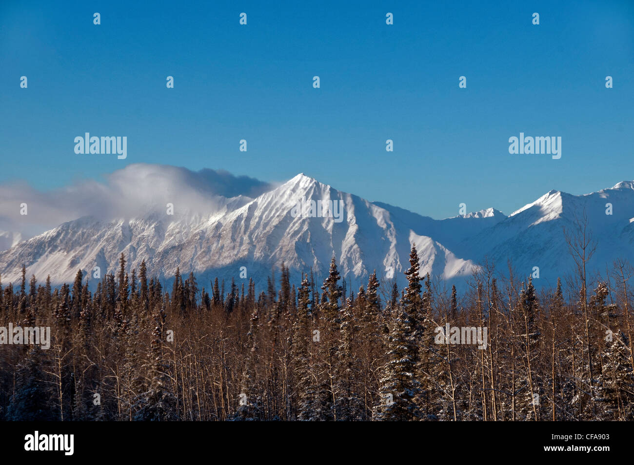 Kluane national park winter hi-res stock photography and images - Alamy