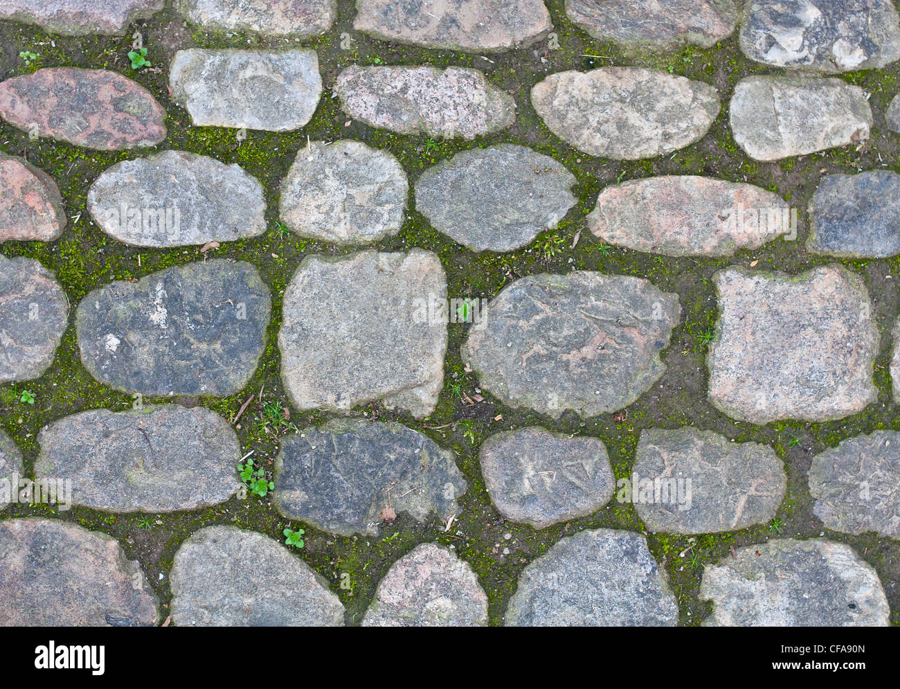 Rough cobblestone pavement moss texture hi-res stock photography and ...