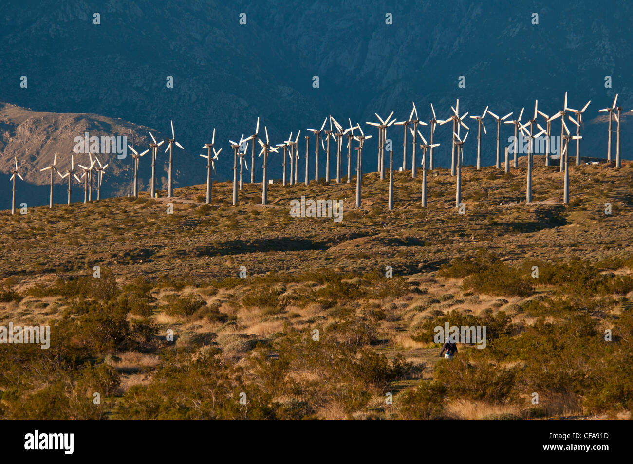 san gorgonio, pass, wind farm, wind turbine, ecology, generators, palm ...
