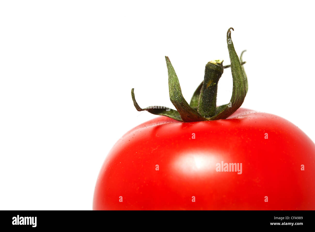 Tomato plant leaf isolated hi-res stock photography and images - Alamy