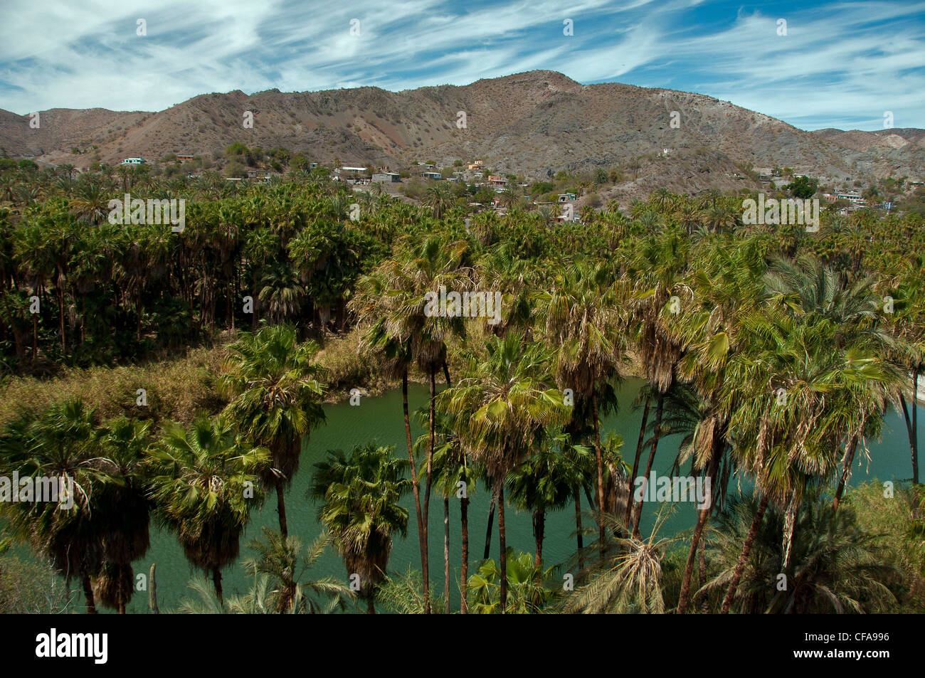 mulege, Baja California, Mexico, landscape, palm trees Stock Photo - Alamy