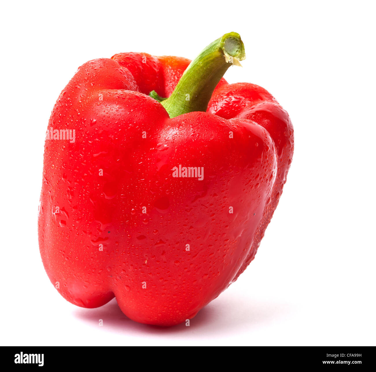 Single fresh red pepper with water drops isolated on white background ...
