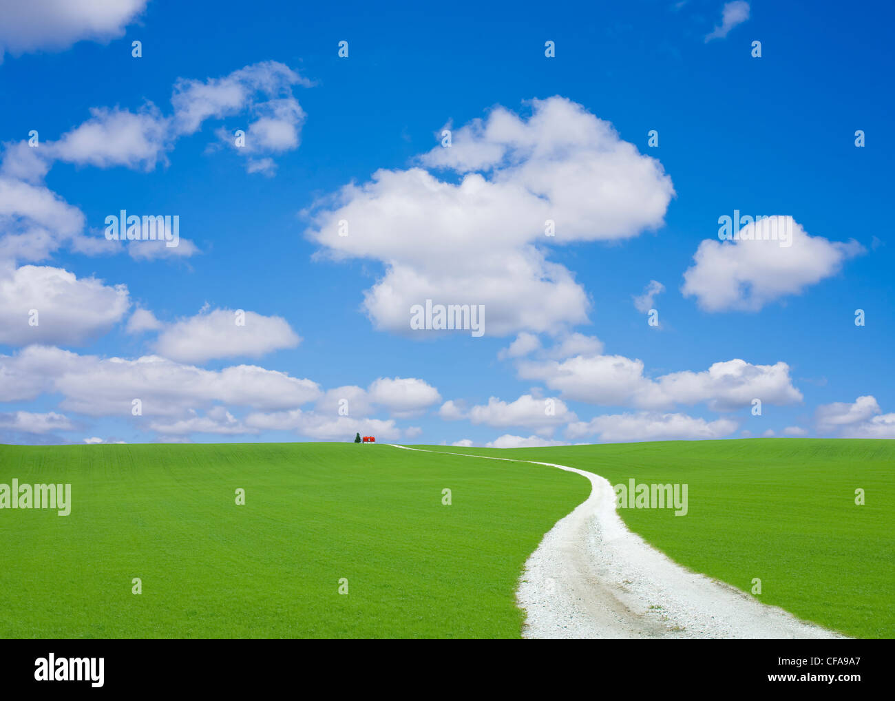 Road to red roof house Stock Photo - Alamy