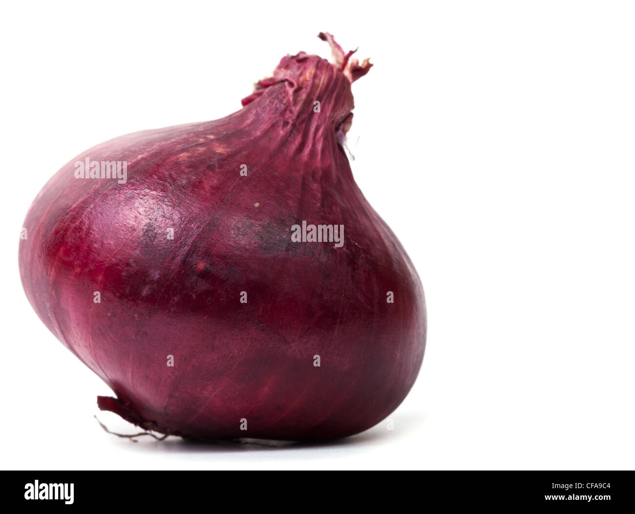 Single red onion bulb isolated on white background with shadow Stock ...