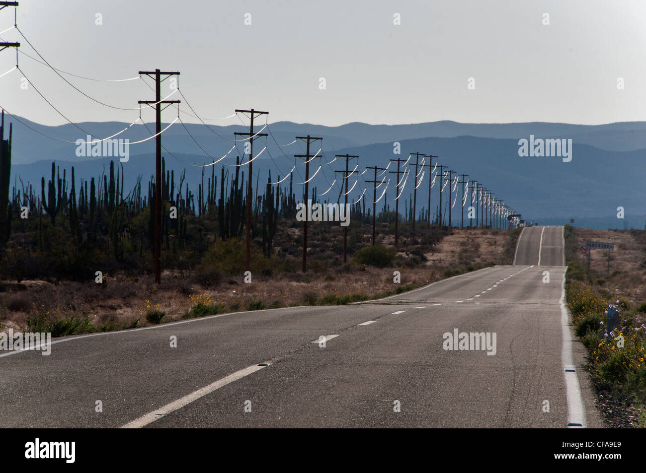 Straight wire hi-res stock photography and images - Alamy