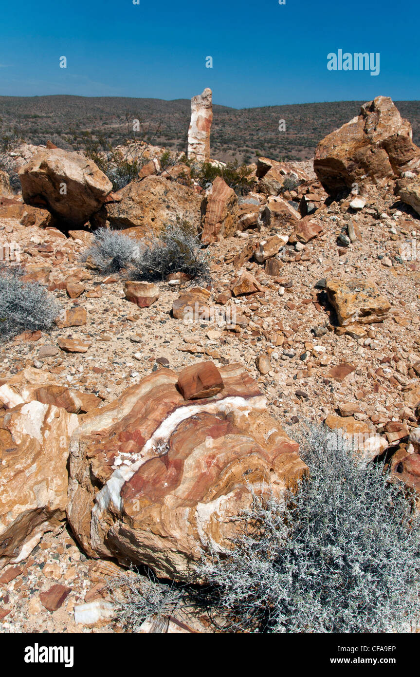 el marmol, historical, onyx, quarry, ruins, baja California, Mexico ...