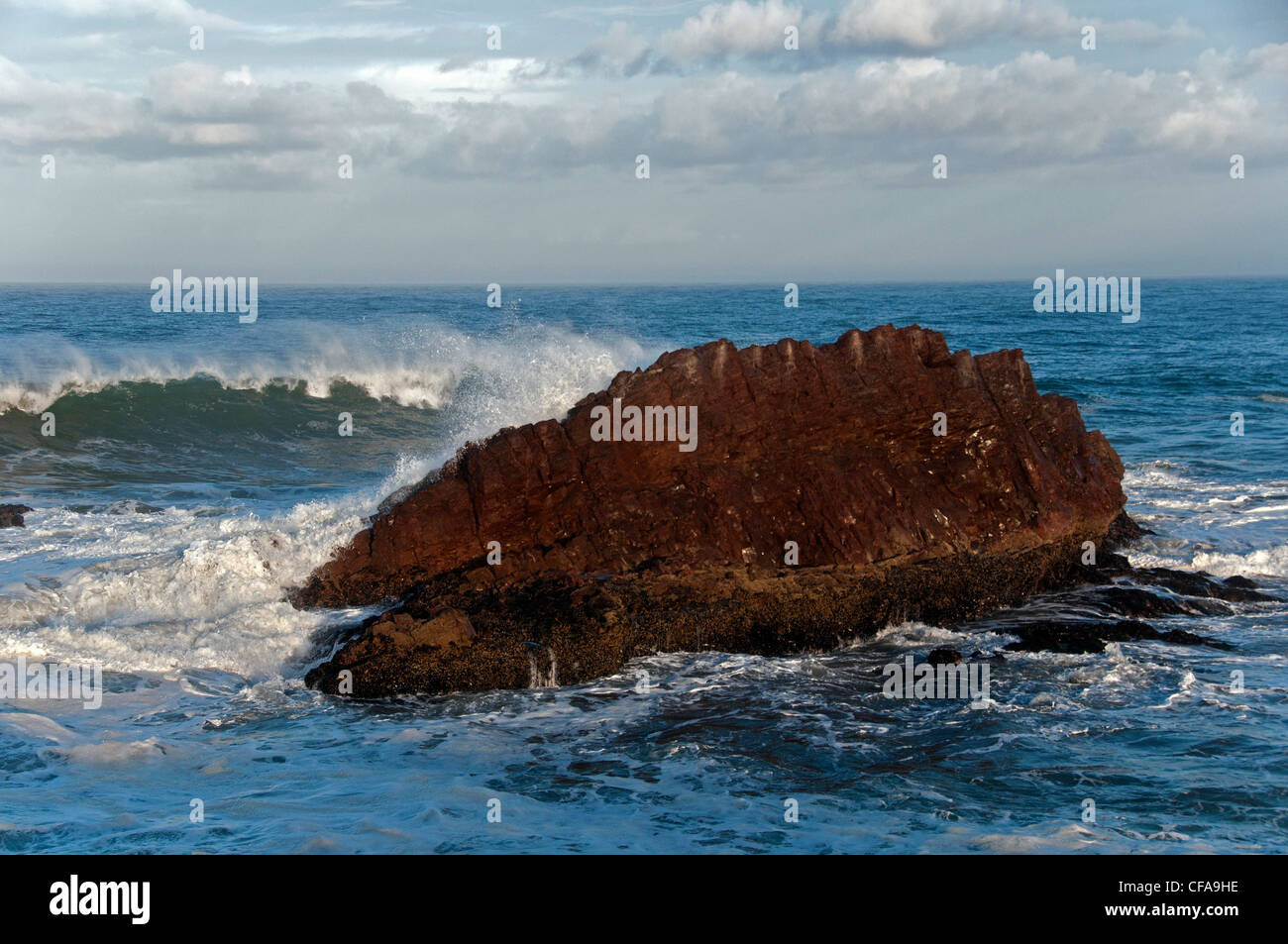 Almejas hi-res stock photography and images - Alamy