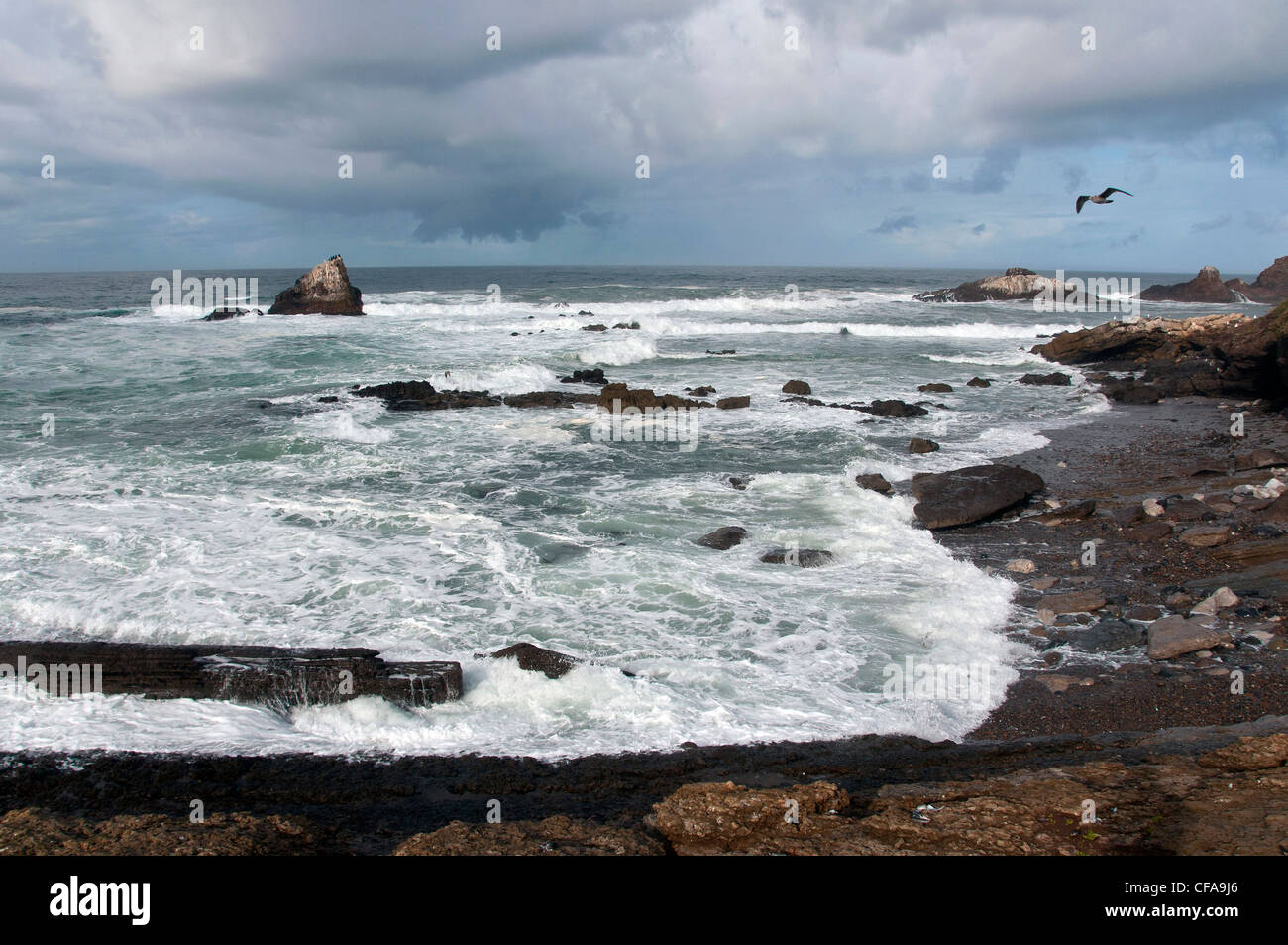 waves, playa Hermosa, beach, ensenada, baja California, almejas bay ...