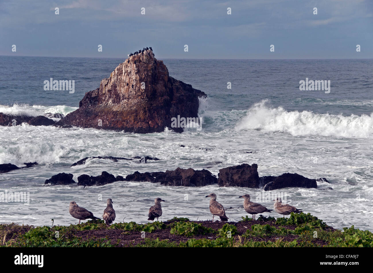 waves, playa Hermosa, beach, ensenada, baja California, almejas bay ...