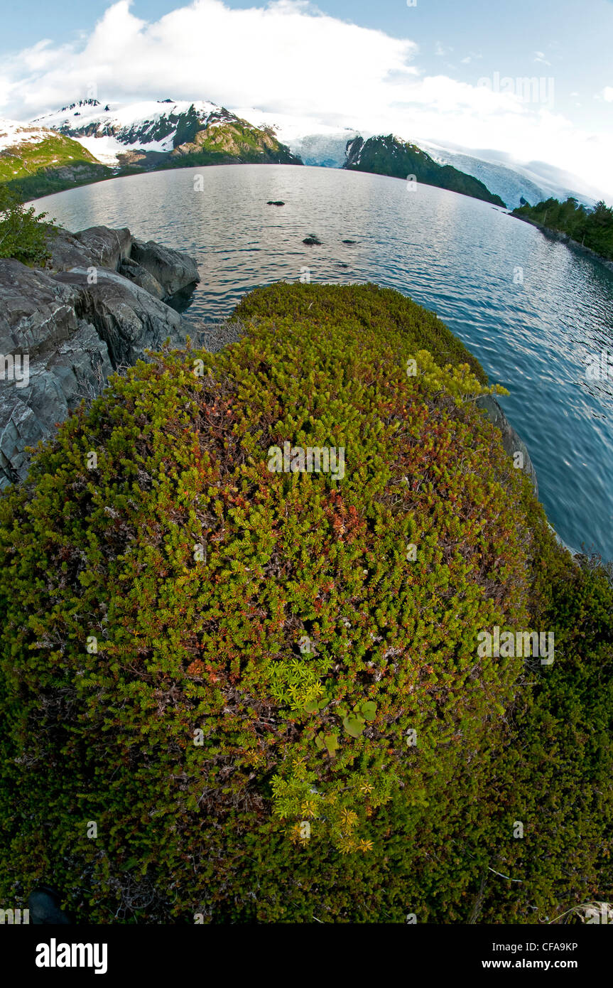 Blackstone bay, water, nature, fisheye lens, prince William sound ...