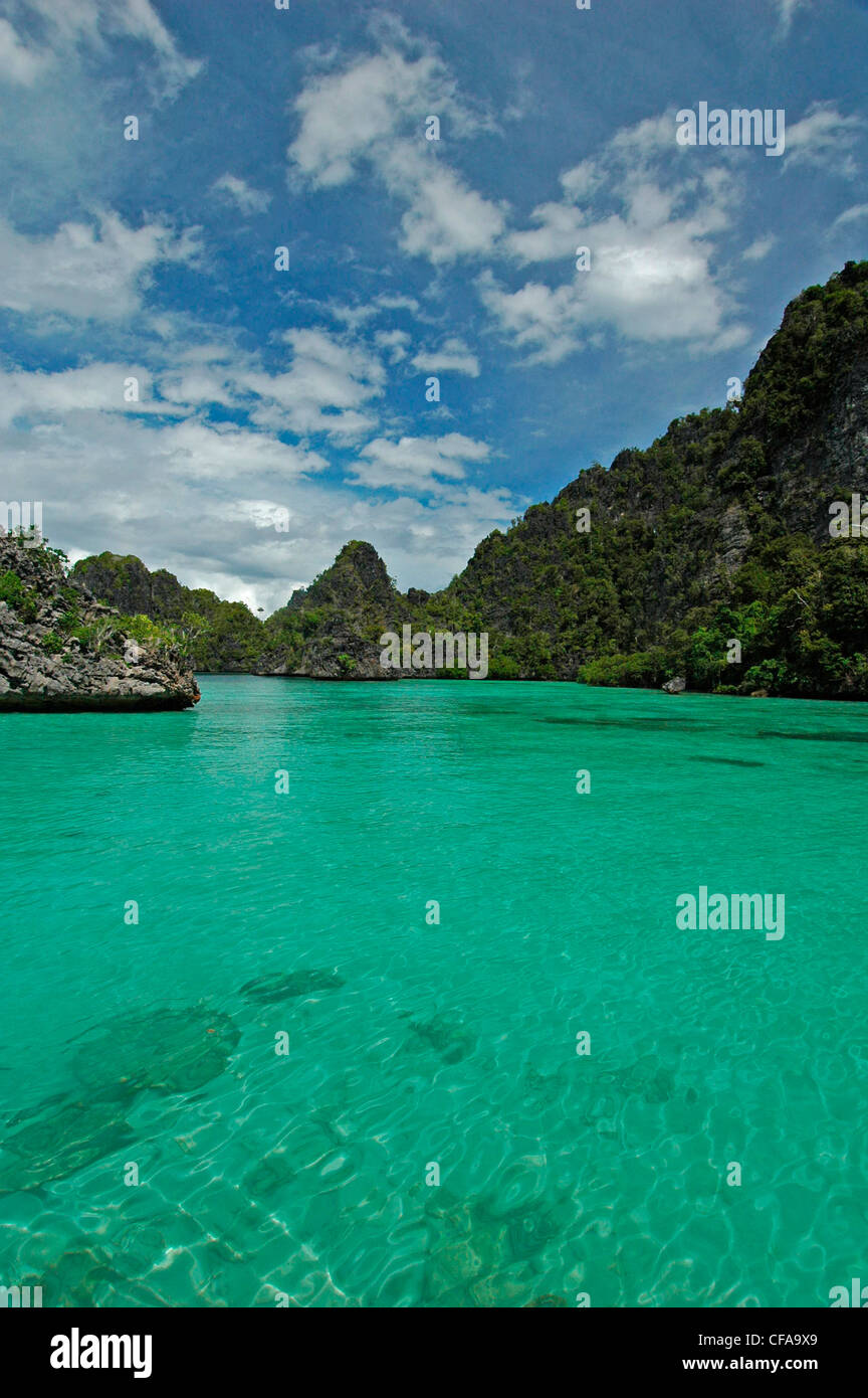 Island scenery in Raja Ampat, Indonesia Stock Photo - Alamy