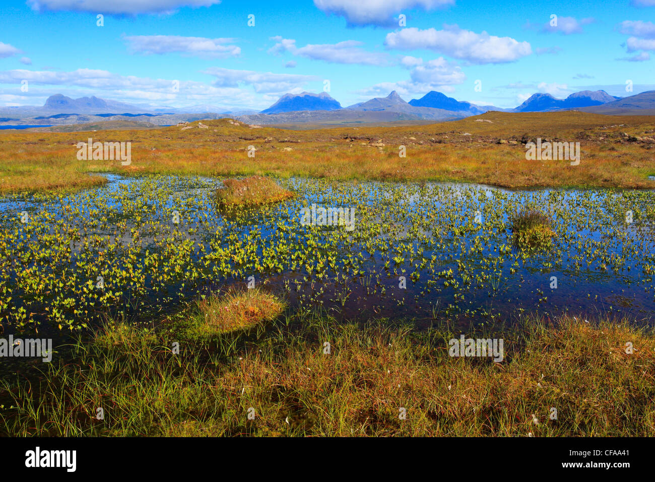 Achiltibuie, Great Britain, Highland, highlands, sky, highland, scenery ...