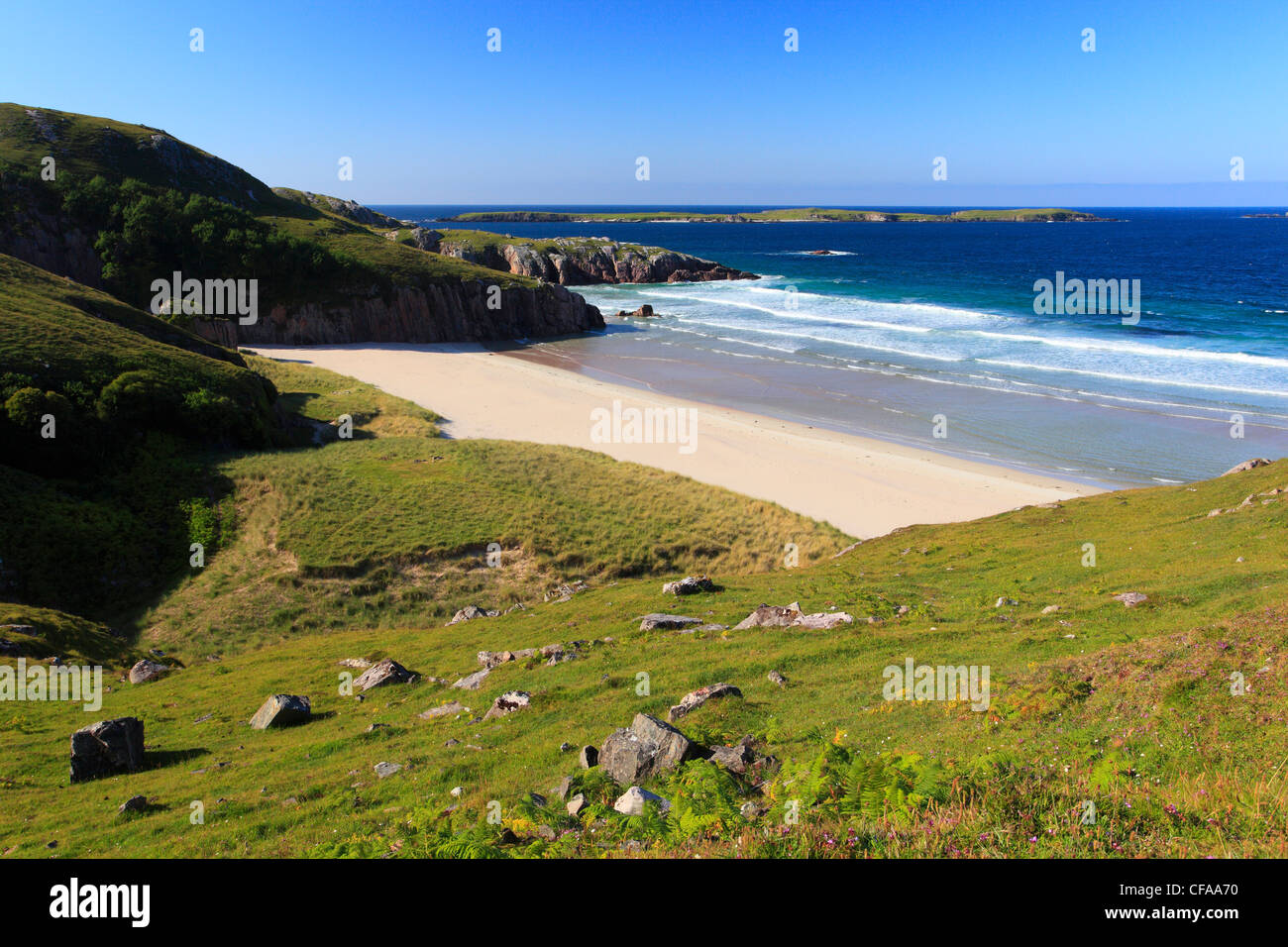 ling, common heater, bay, Calluna vulgaris, Durness, Erica, Erika ...