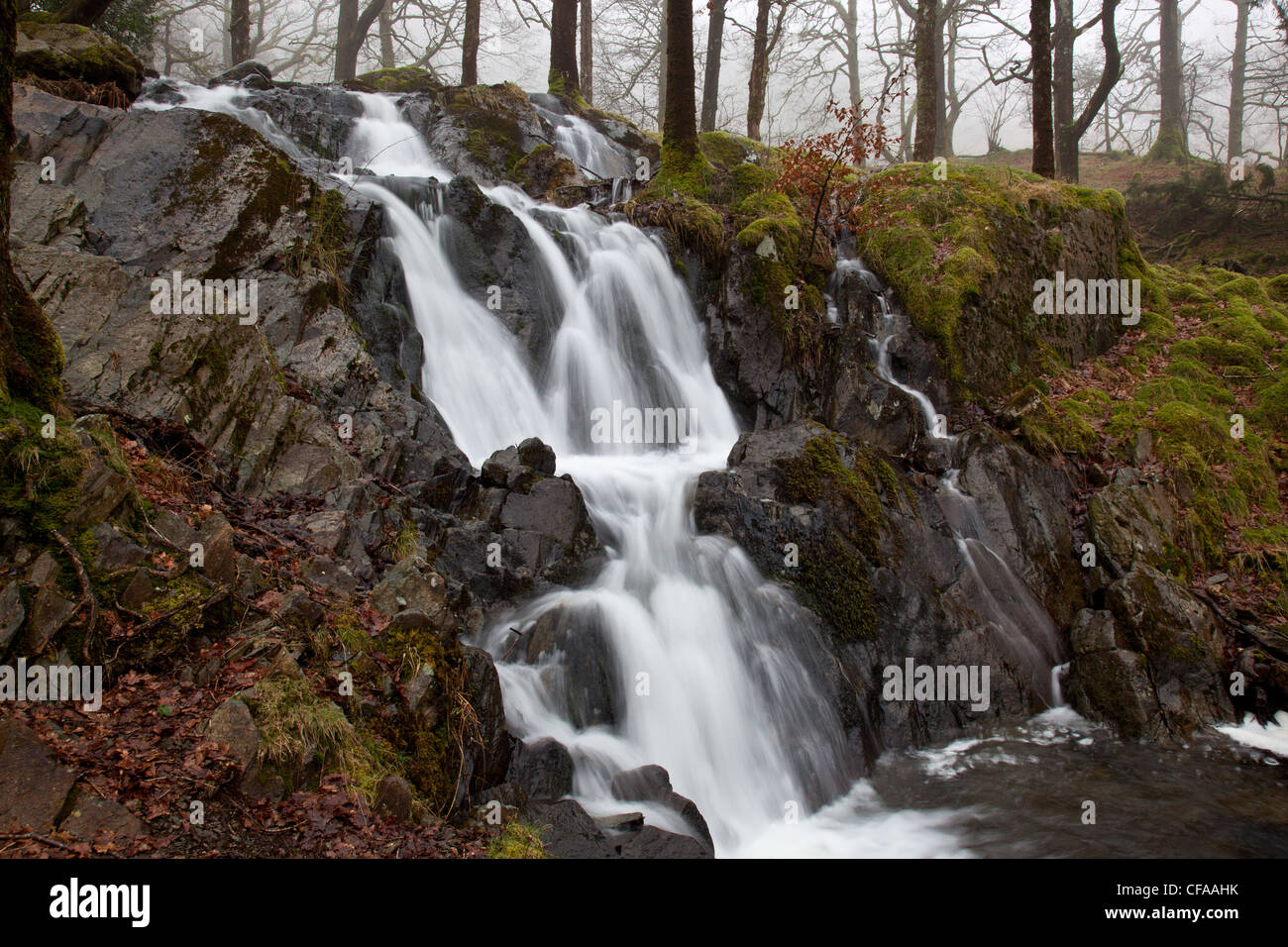 Tom Gill Waterfalls near Tarn Hows, Hawkshead, Lake District, Cumbria ...
