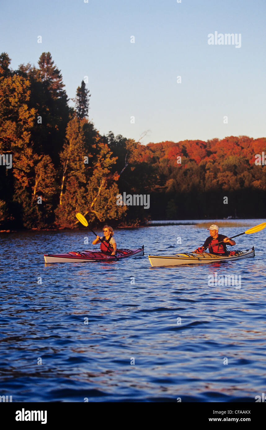 Young couple sea-kayaking in autumn, Muskoka, Ontario, Canada Stock ...