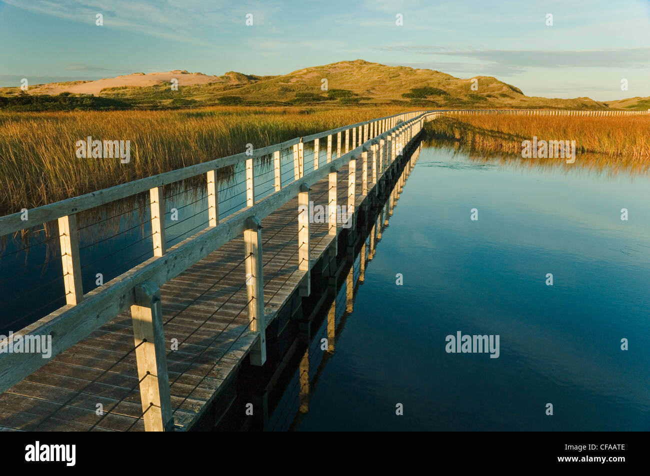 Floating island wetlands hi-res stock photography and images - Alamy