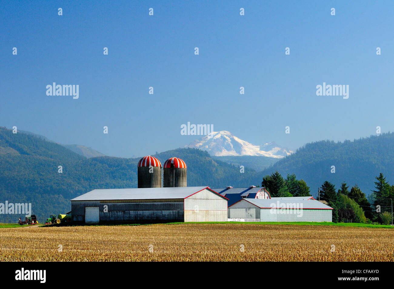 Harvested corn fields, silo's and barns with Mt. Baker in the ...