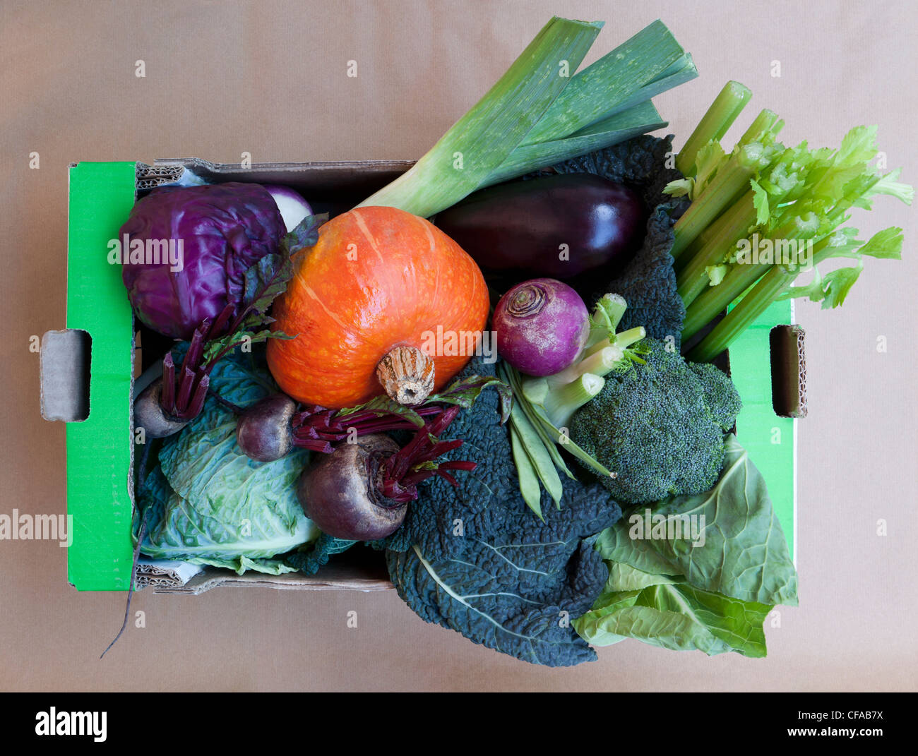 Csa box hi-res stock photography and images - Alamy