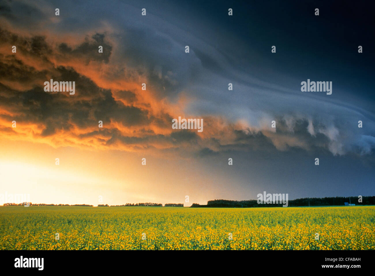 Glenboro hi-res stock photography and images - Alamy