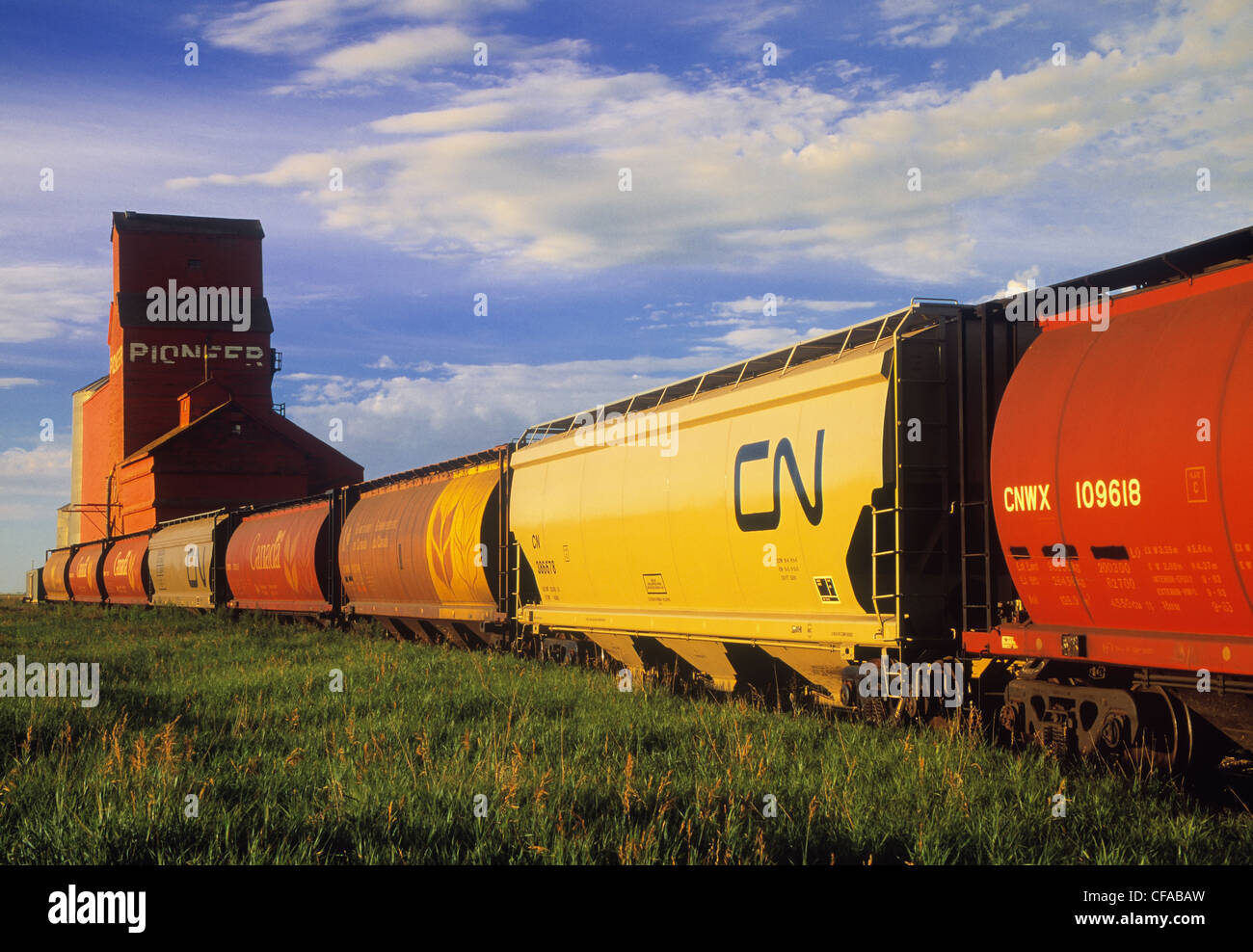 Grain Elevator and CN Rail train near Regina, Saskatchewan, Canada Stock Photo - Alamy